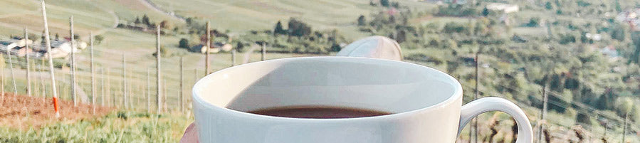 Die rezemo-Tipps für Urlaub im Ländle